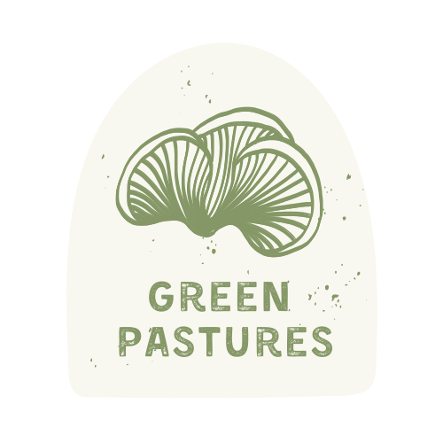 Fondacio in Myanmar - Fondacio Asia